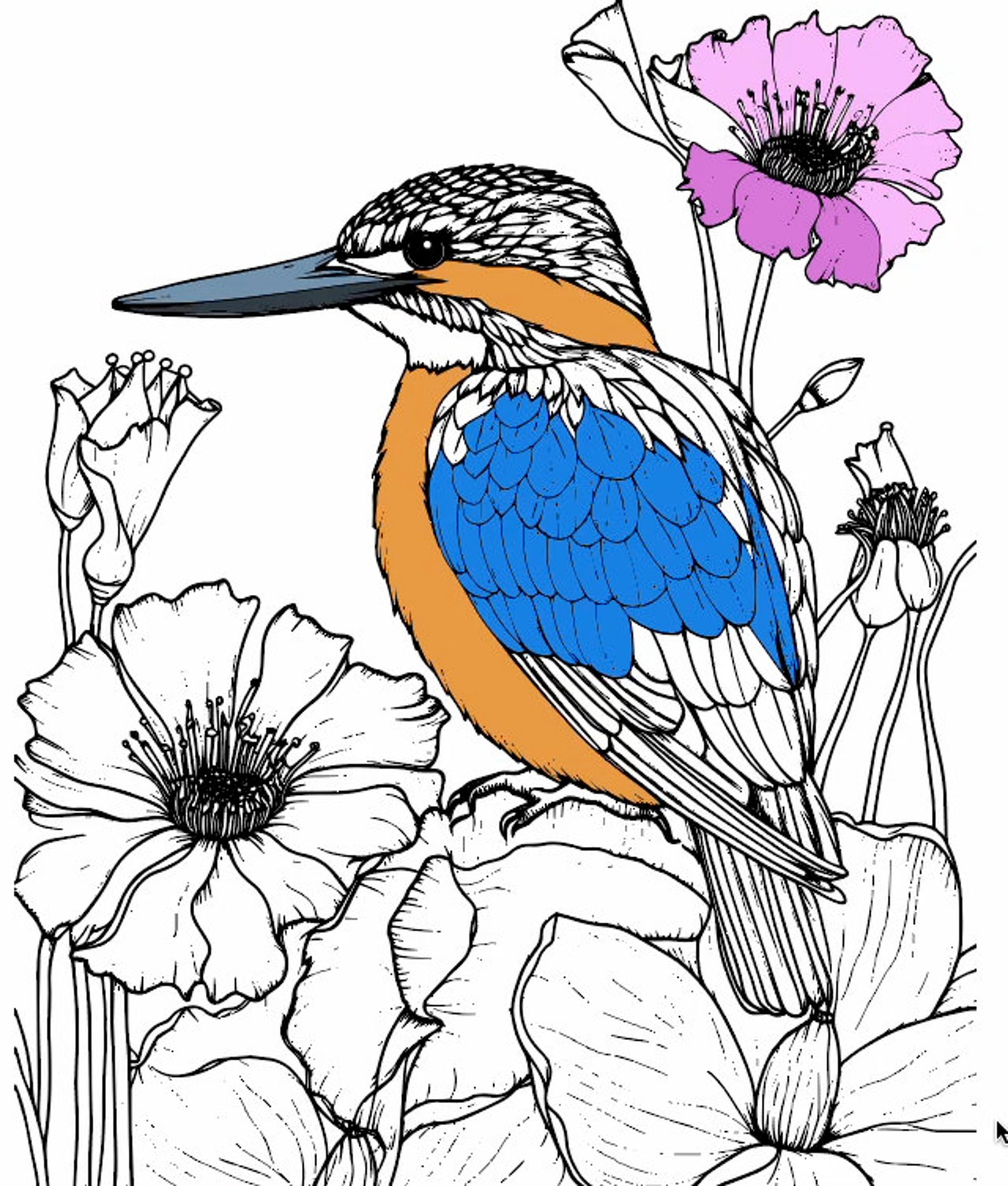 Kingfisher Coloring Page Printable Bird Art Bird Coloring Book Adult ...