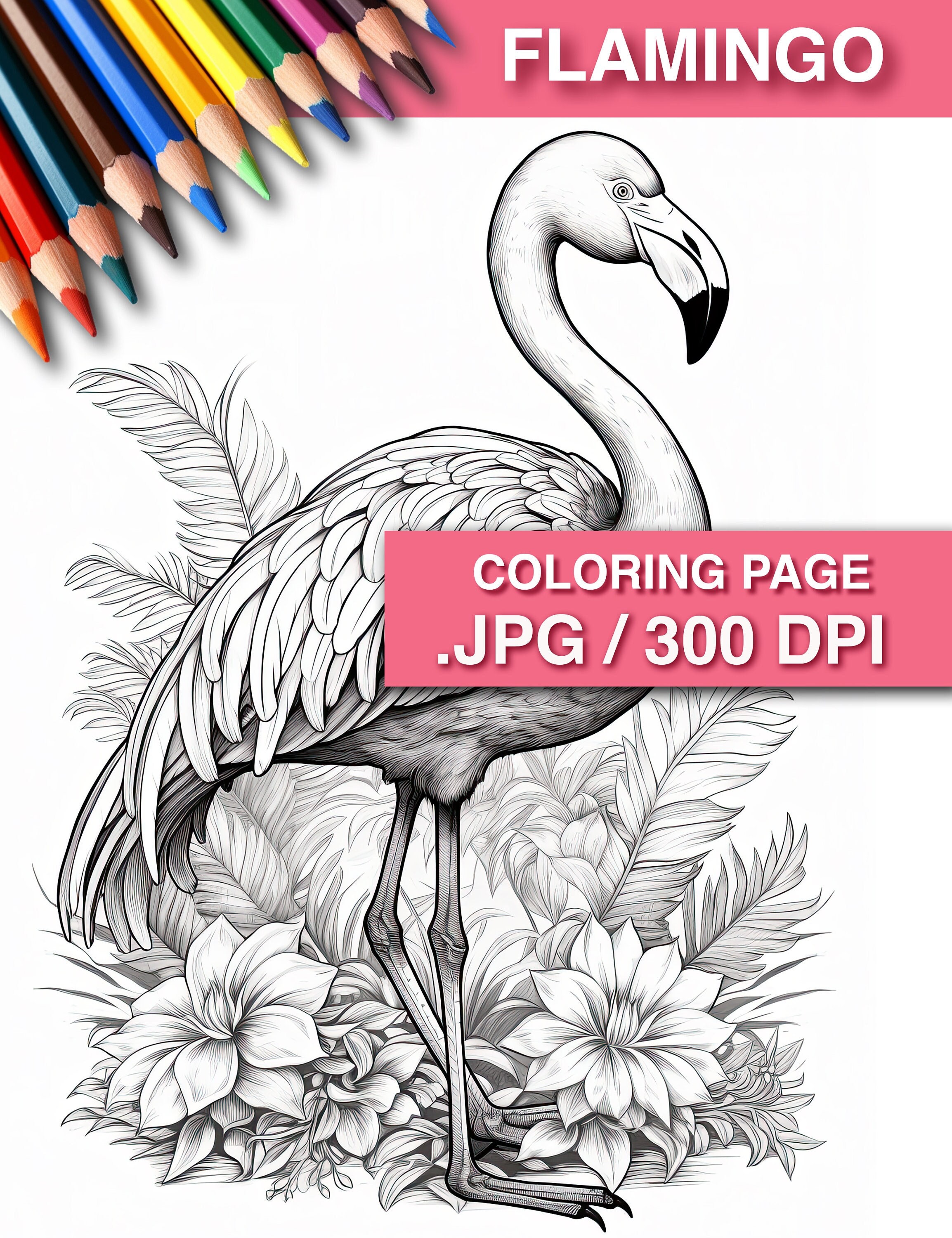 Flamingo Coloring Page Tropical Bird Art Relaxing Bird Coloring Fun ...