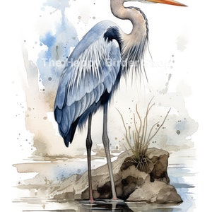 Great Blue Heron Print, Set of 4 Printable Wall Art, Coastal Decor Bird ...