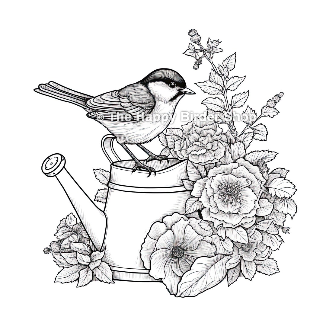 Chickadee Coloring Book Page | Printable JPG | Instant Download | Adult ...