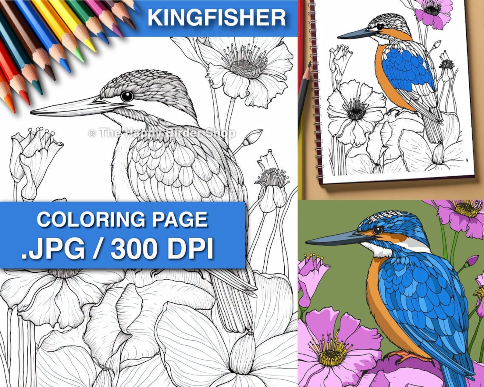 Kingfisher Coloring Page Printable Bird Art Bird Coloring Book Adult ...