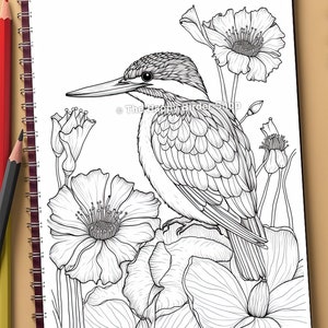Kingfisher Coloring Page Printable Bird Art Bird Coloring Book Adult ...