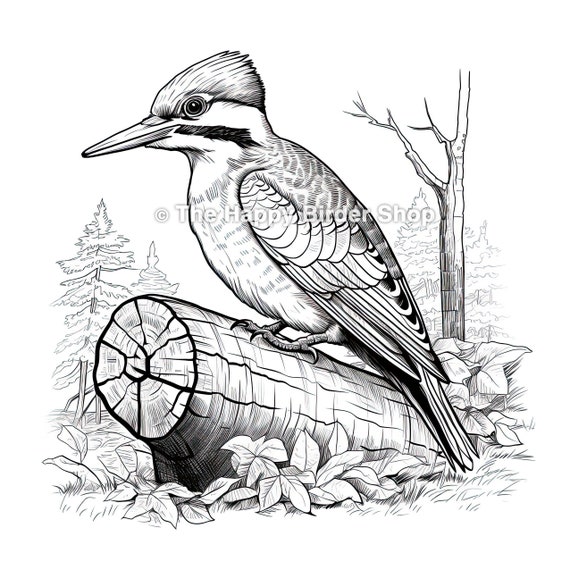 Woodpecker Coloring Pages