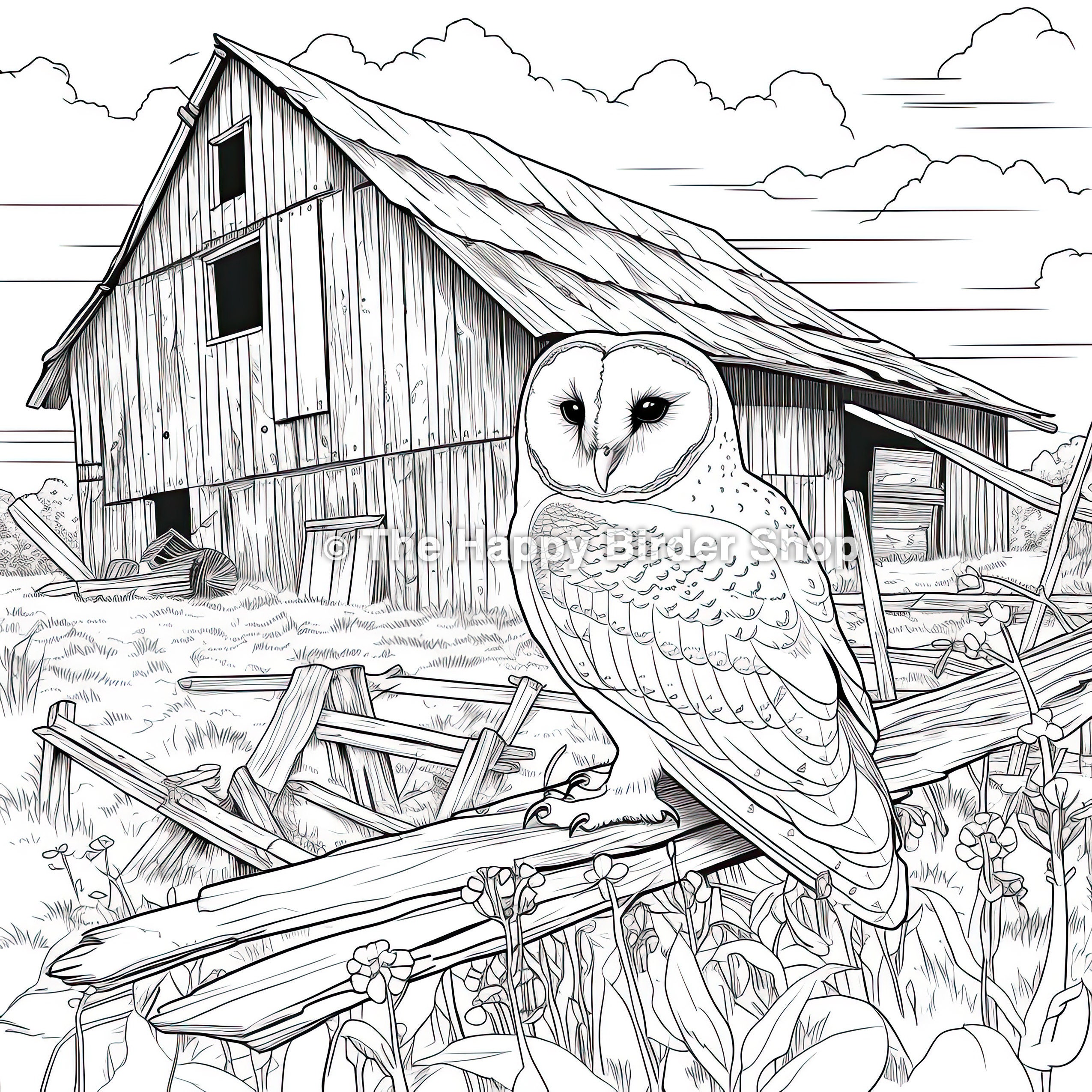 Barn Owls Coloring Book Pages