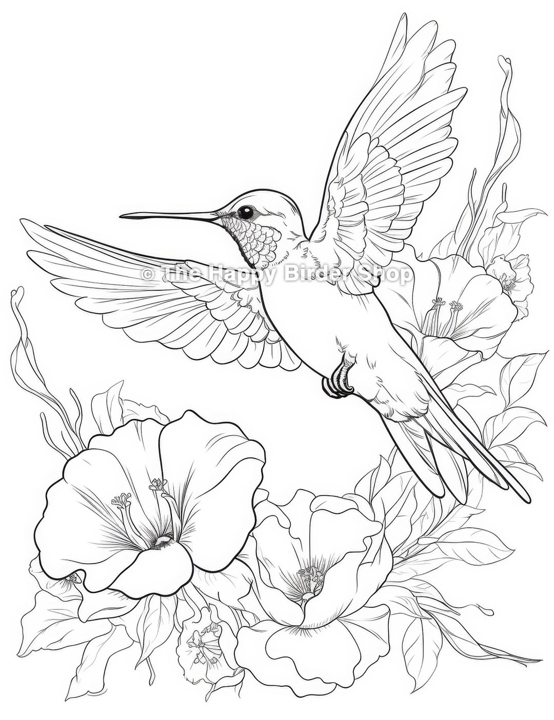 Hummingbird Coloring Page Printable Bird JPG Hummingbird Adult Coloring ...