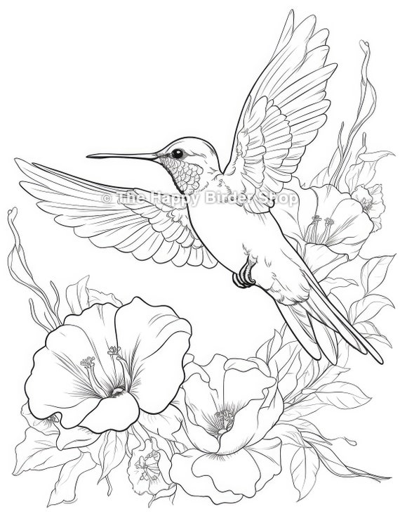 Ausmalbild: Kolibri 5 Exotische Vögel Ausmalbilder Für Kinder Und