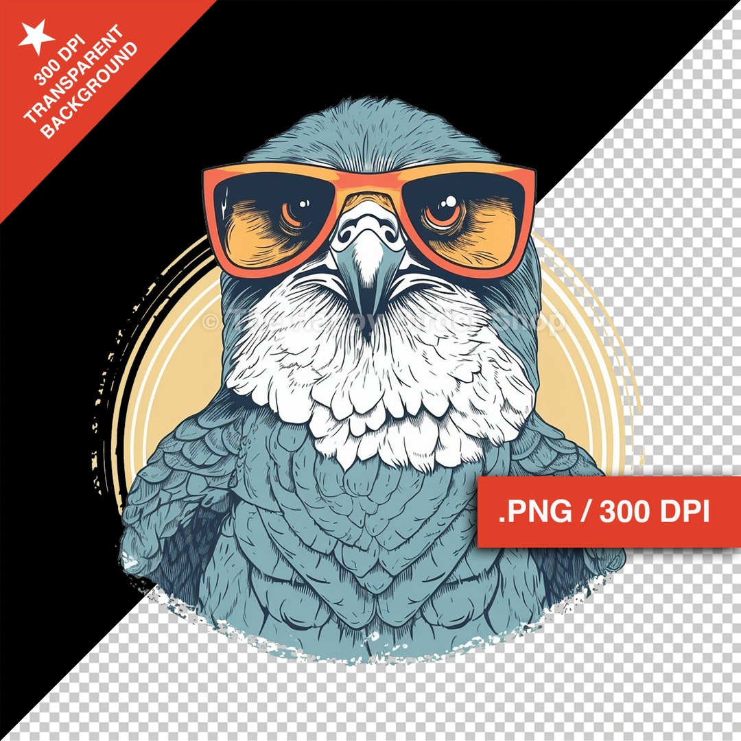 Peregrine Falcon | Clipart | Falcon PNG | 300 DPI | Digital Download ...