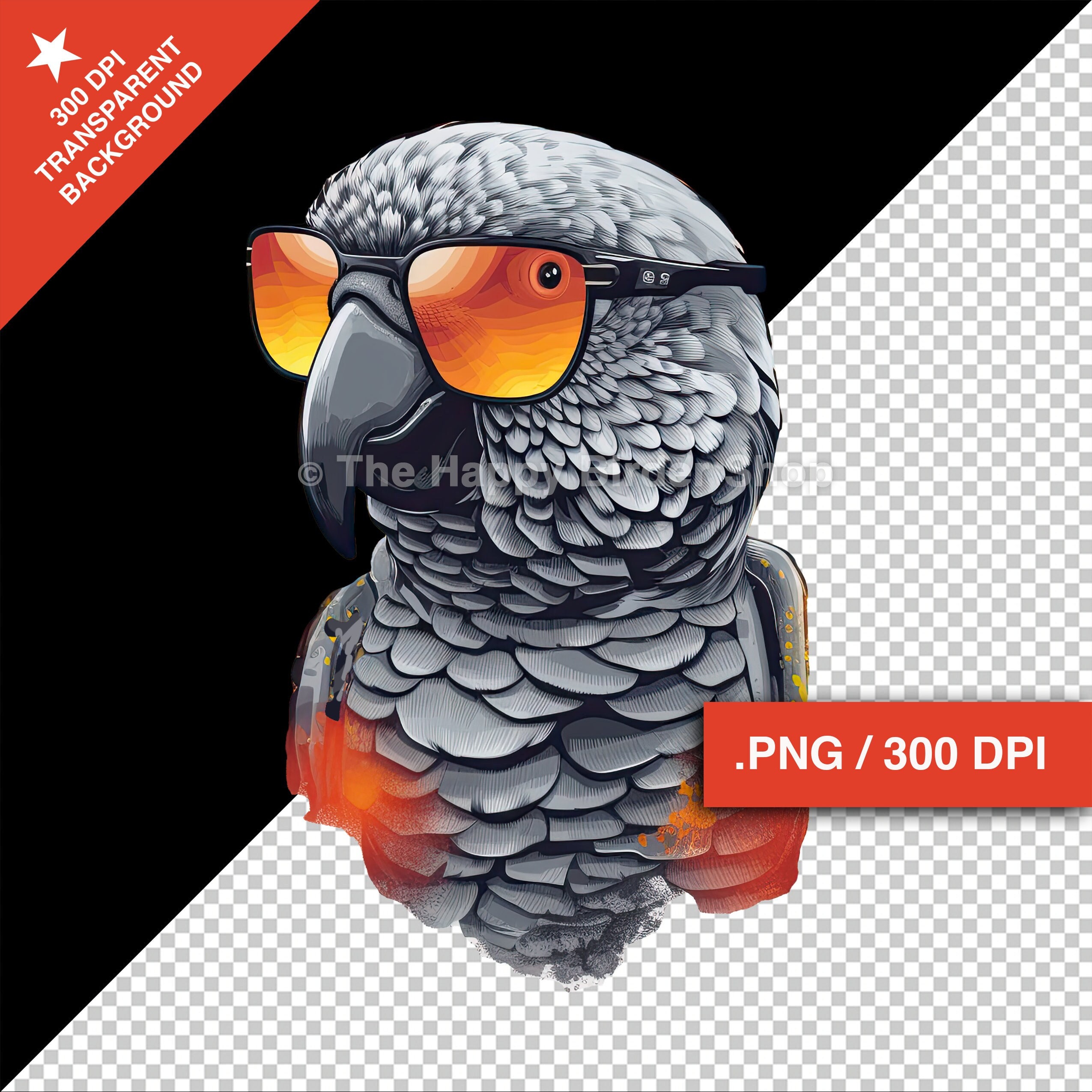 African Grey Parrot Clipart | Bird Clipart | Tropical Bird PNG | 300 ...