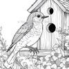 Eastern Screech Owl Coloring Page Printable JPG Adult Coloring Bird ...