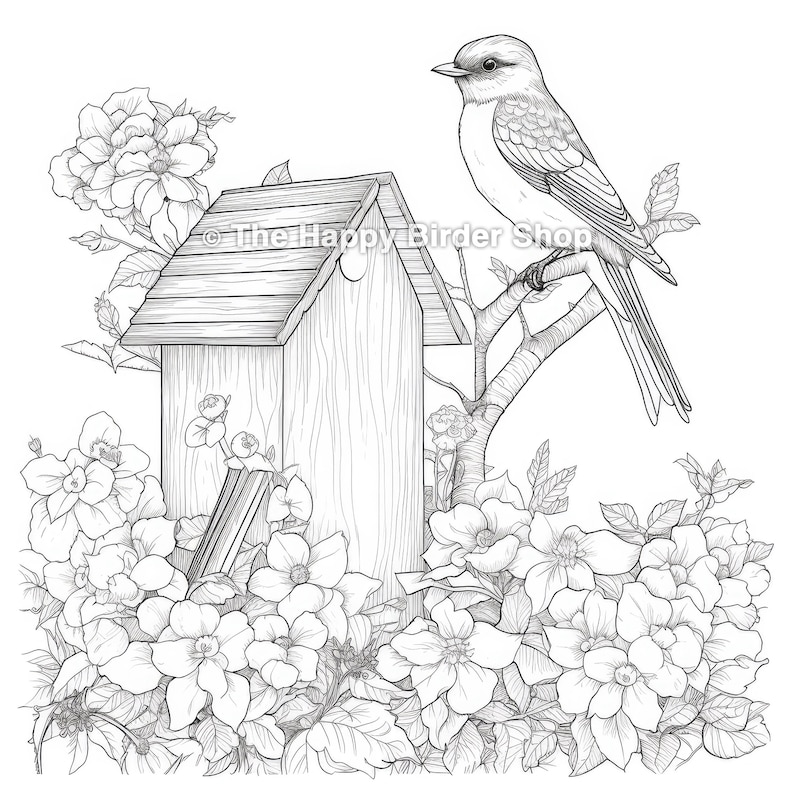 Bluebird Coloring Page | Printable JPG | Instant Download | Stress ...