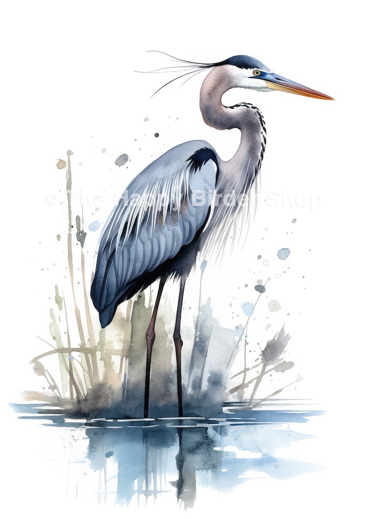 Great Blue Heron Print, Set of 4 Printable Wall Art, Coastal Decor Bird ...