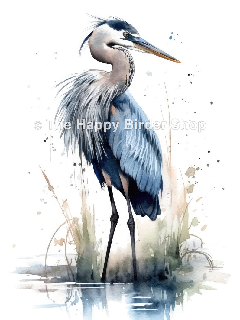 Blue Heron Watercolor Art Print Coastal Decor Beach Wall Art Great Blue ...