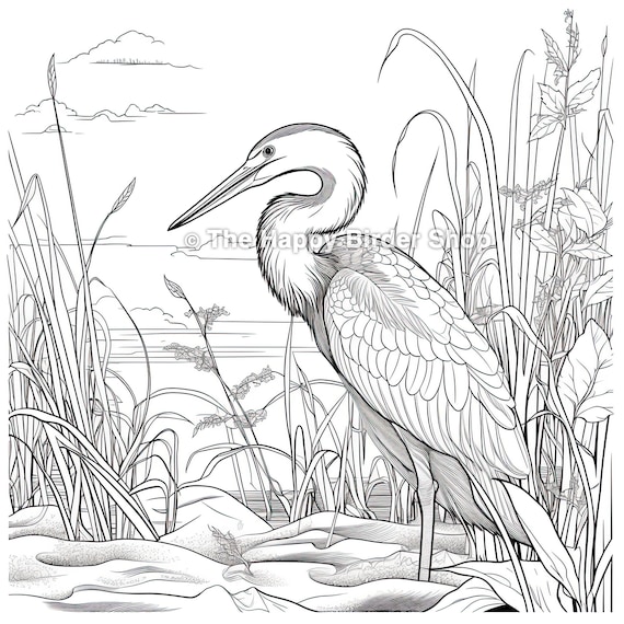 Blue Bird Coloring Pages To Print [2025]