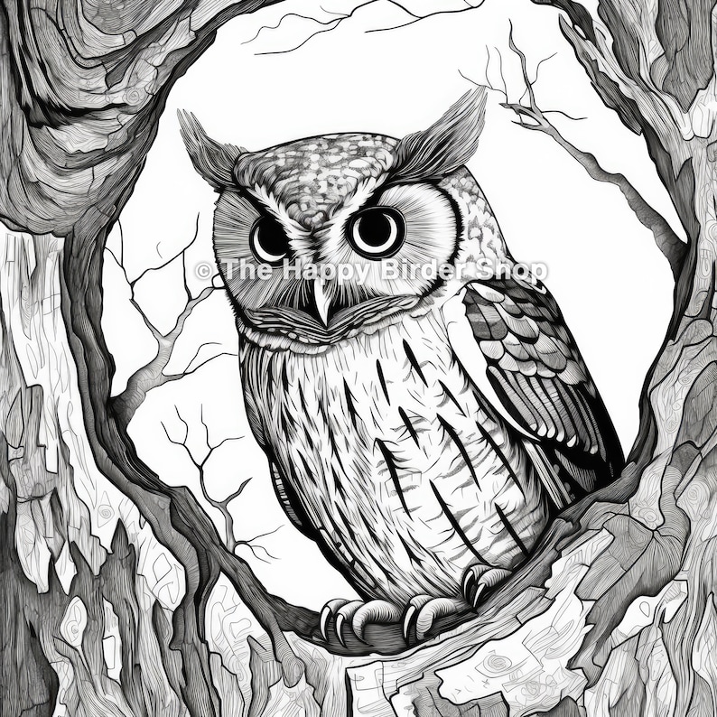 Eastern Screech Owl | Coloring Page | Printable JPG | Adult Coloring ...