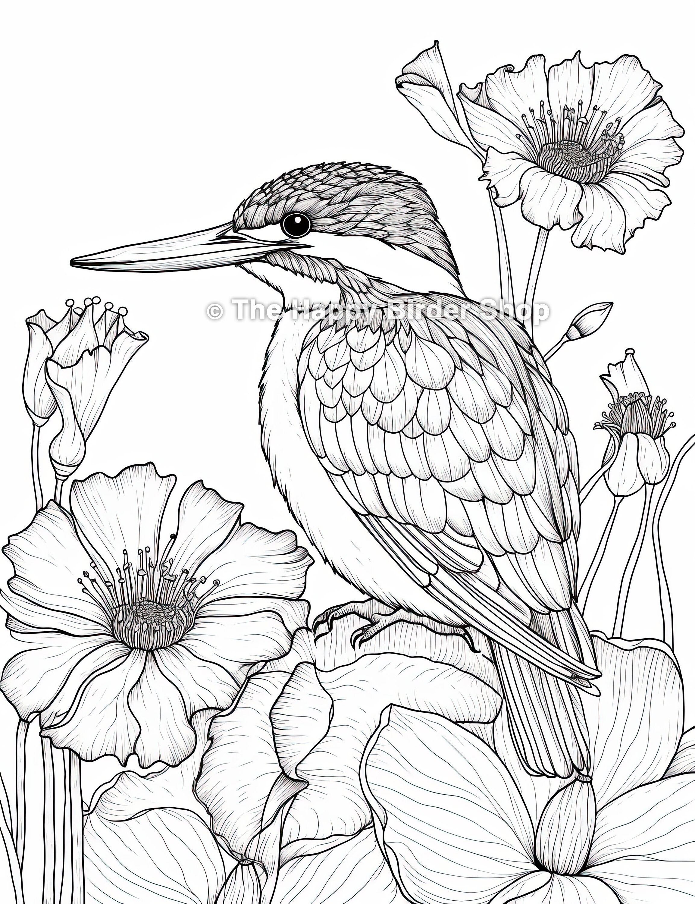 Kingfisher Coloring Page | Printable JPG | Adult Coloring | Bird ...