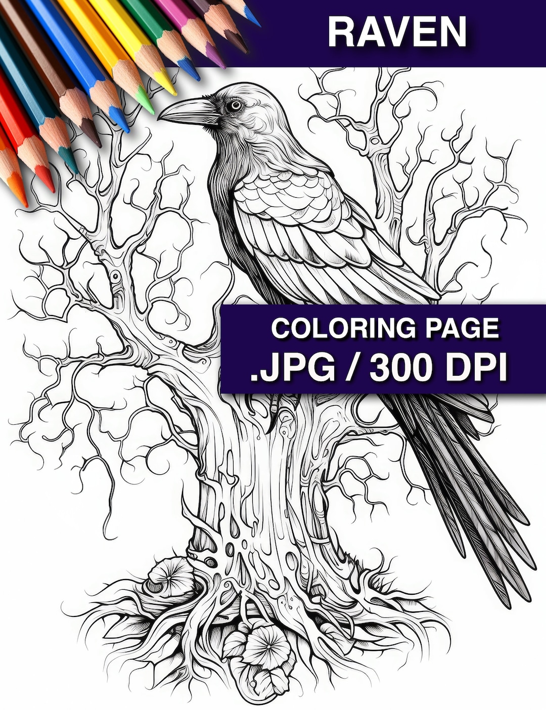 Raven Coloring Page Witchy Decor Bird Coloring Sheet Witchy Academia ...