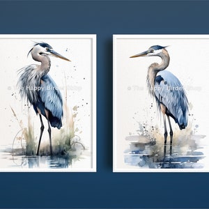 Great Blue Heron Watercolor Print Sea Bird Fine Art Coastal - Etsy