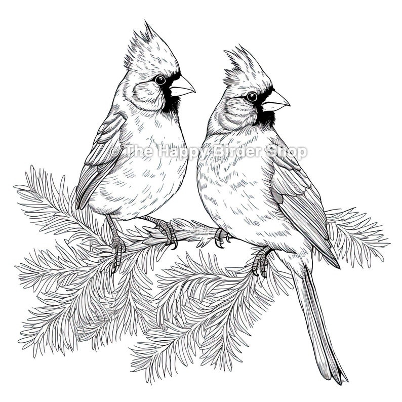 Coloring Page Northern Cardinal Printable Bird Art Coloring Book Page ...