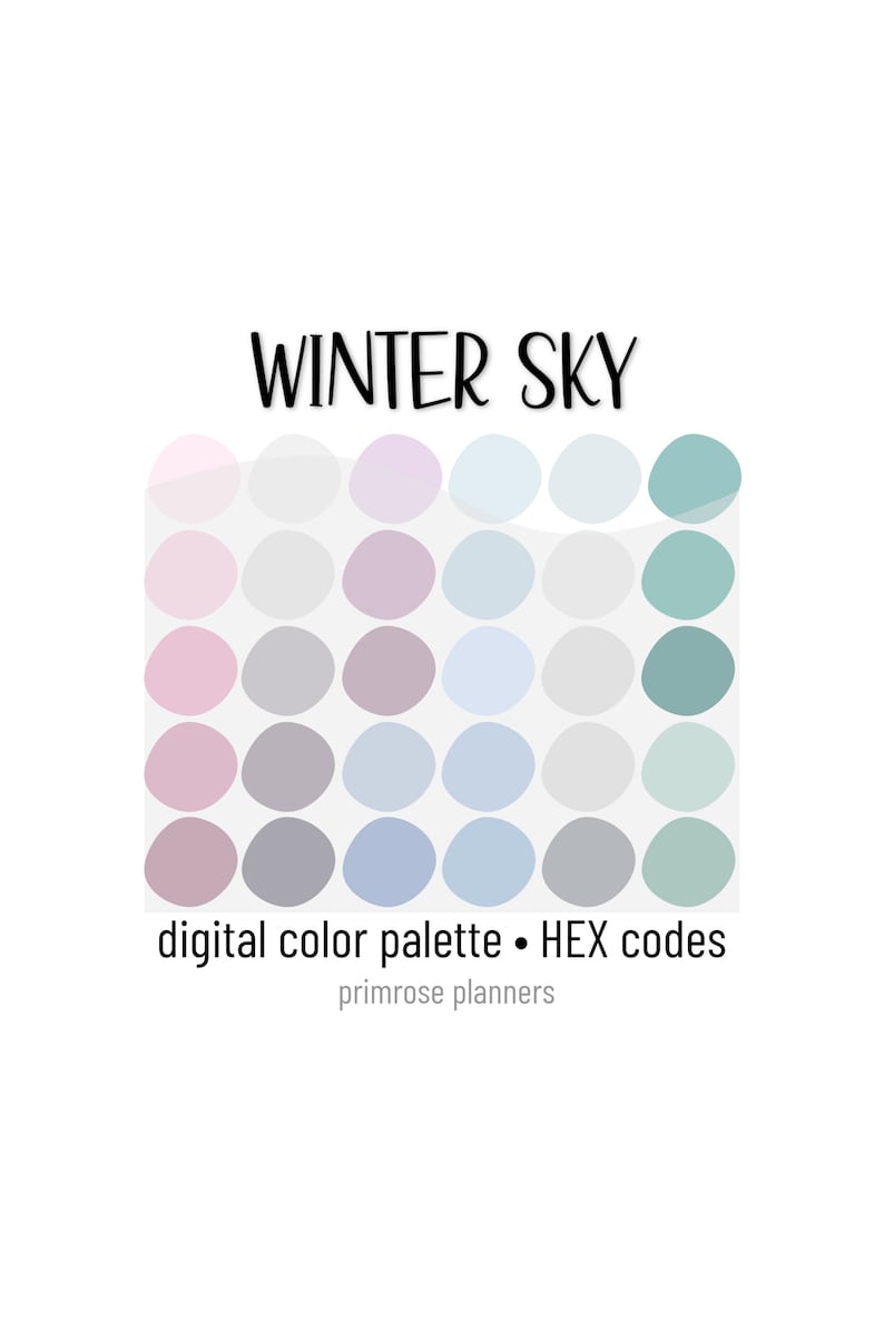 Winter Sky Digital Color Palette Color Chart Goodnotes - Etsy