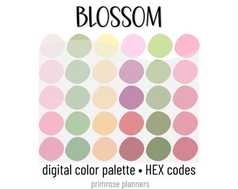 Procreate Color Palette | Spring Pink | Instant Download | Digital File ...