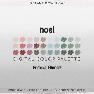 Noel Digital Color Palette - Color Chart | Goodnotes Tool | iPad ...