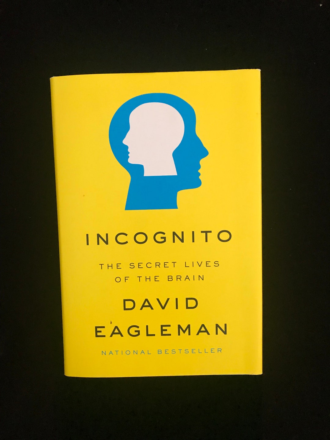 Incognito...the Secret Lives of the Brain by David Eagleman - Etsy