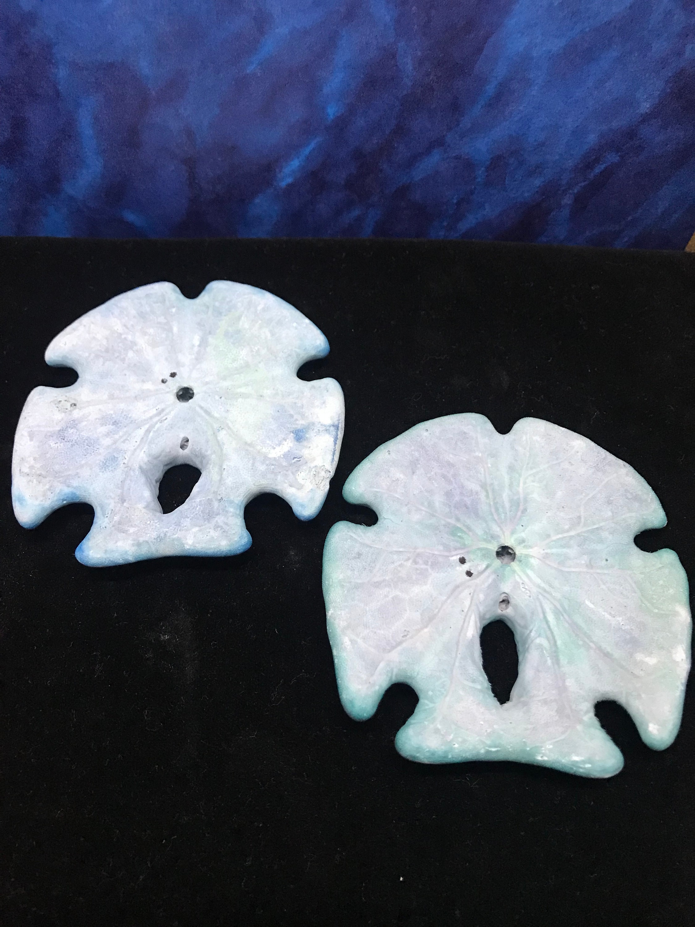 2 Blue Sand Dollar Shells - Etsy