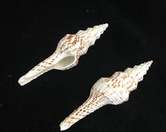 FrankandRebecca - Etsy