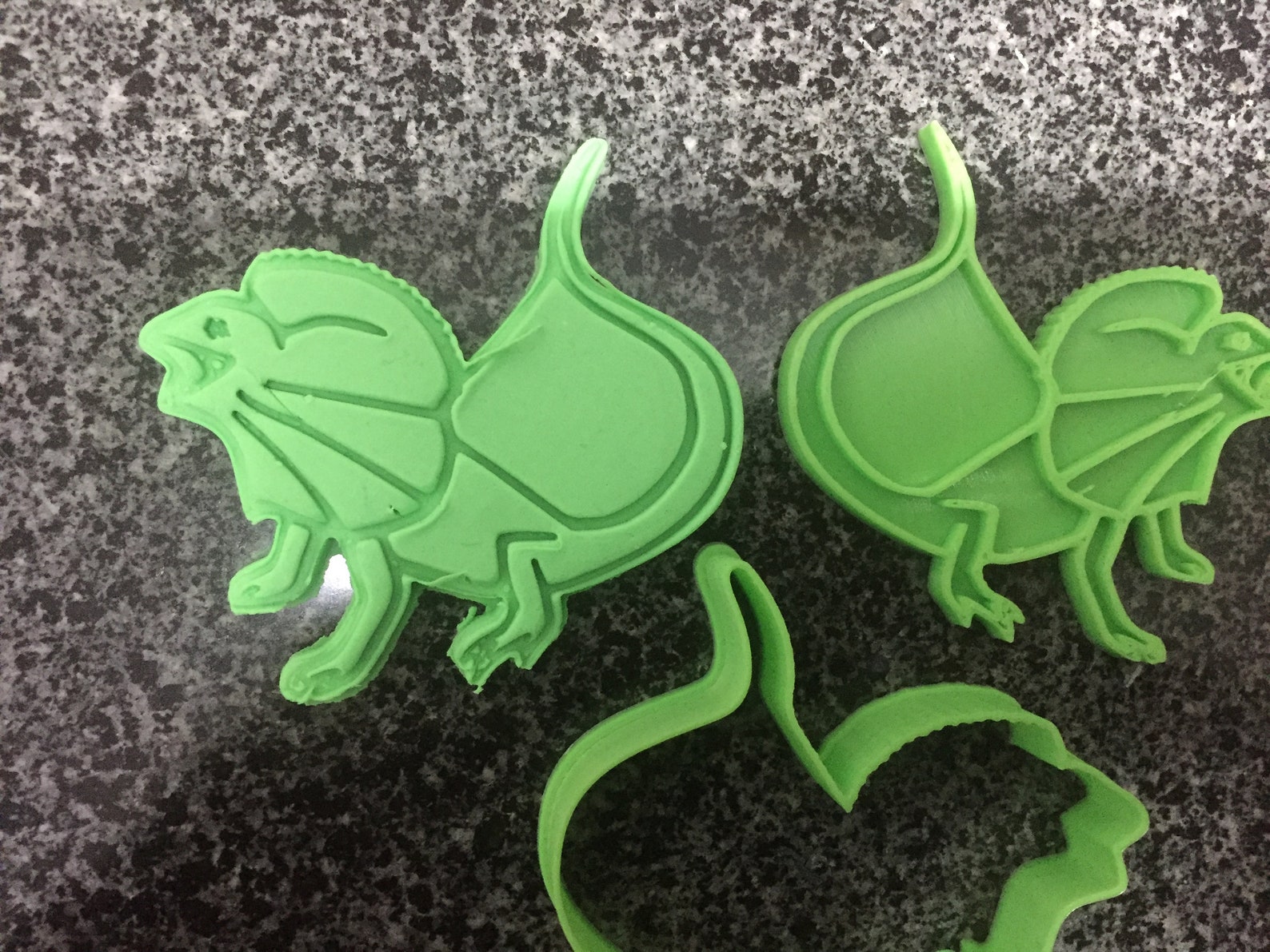 Frilled Neck Lizard Cookie Cutter Embosser - Etsy