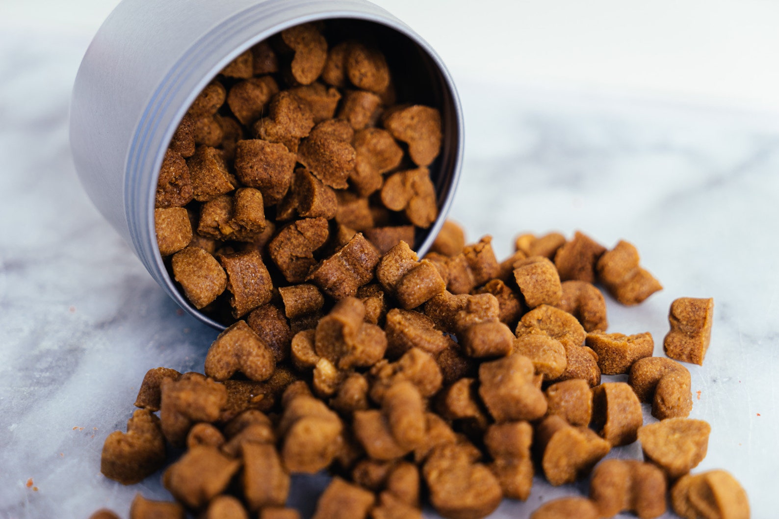 Soft Chew Dog Treats For Dental Support Seniors and | Etsy