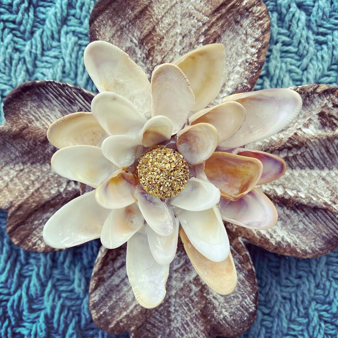 Coquina Seashell Flower Decor | Etsy