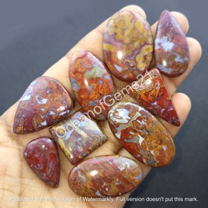 Plum agates store