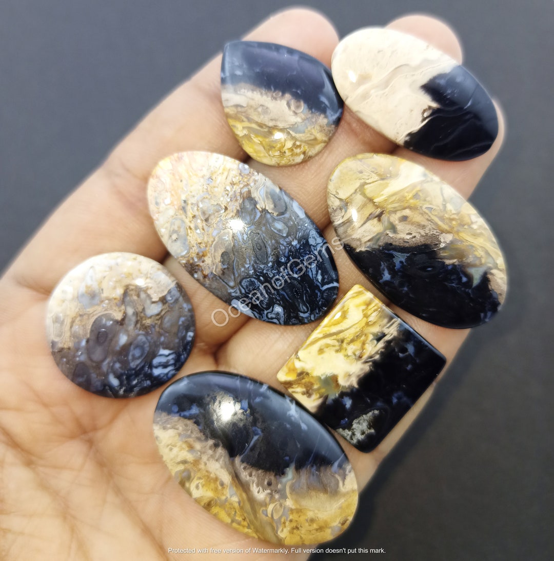 Natural Palm Root Gemstone Cabochon - AAA Quality Palm Root Fossil ...