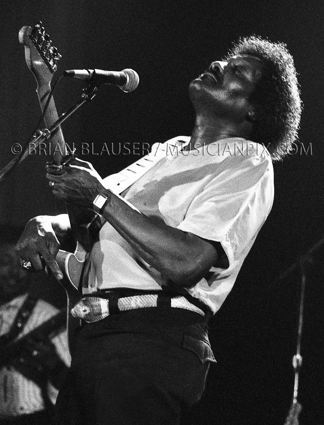 ALBERT COLLINS 1992 Photo 8.5x11 - 13x19 Contemporary Print of Vintage ...