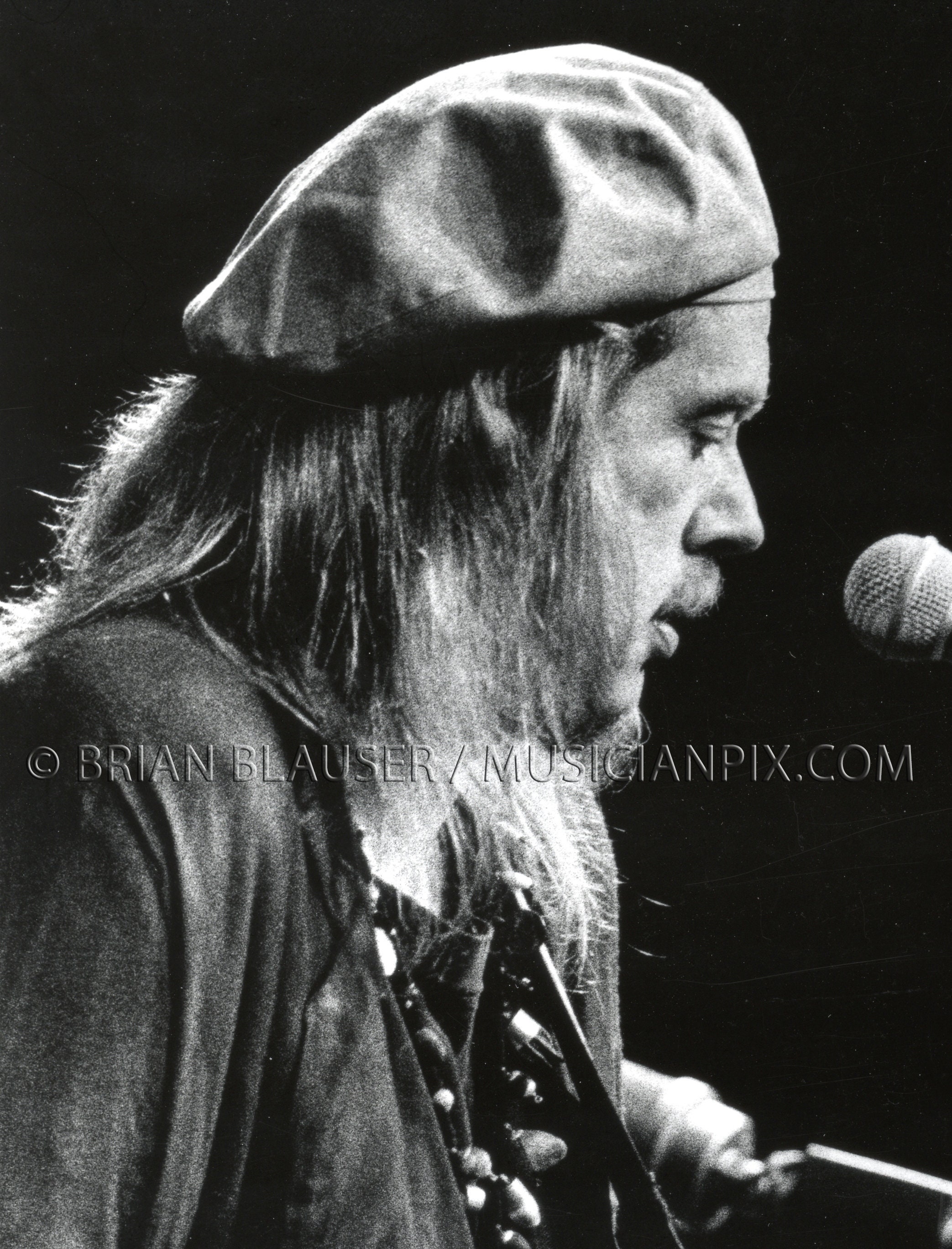 Steve Ferguson NRBQ Vintage Photo: Silver Gelatin Print, 1993 Mountain ...