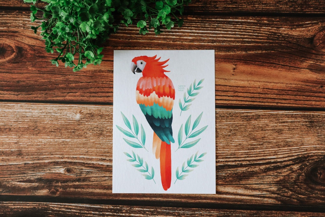 Scarlet Macaw Parrot Mini Art Postcard Print // Animal Wildlife ...