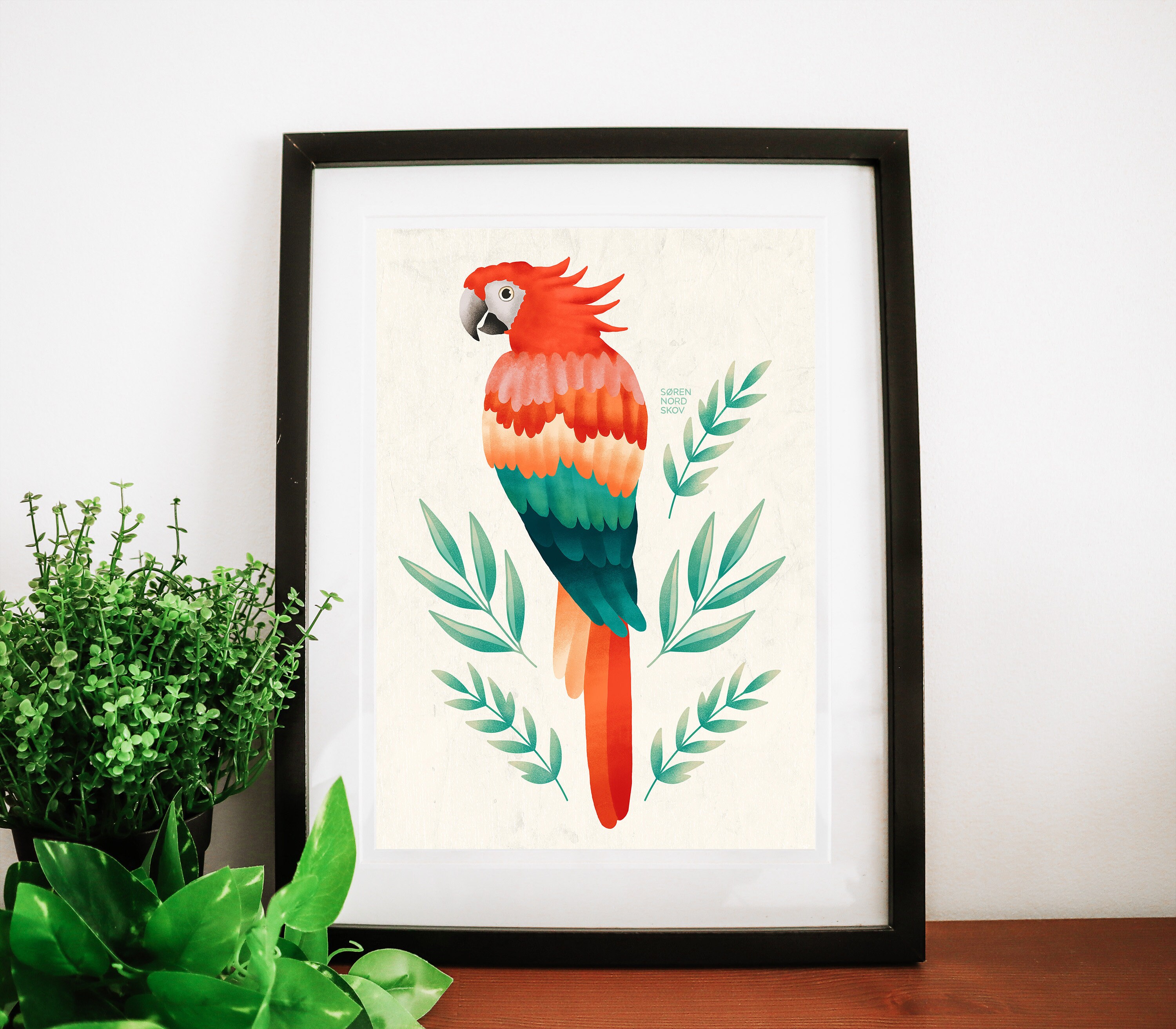Scarlet Macaw Parrot Mini Art Postcard Print // Animal Wildlife ...