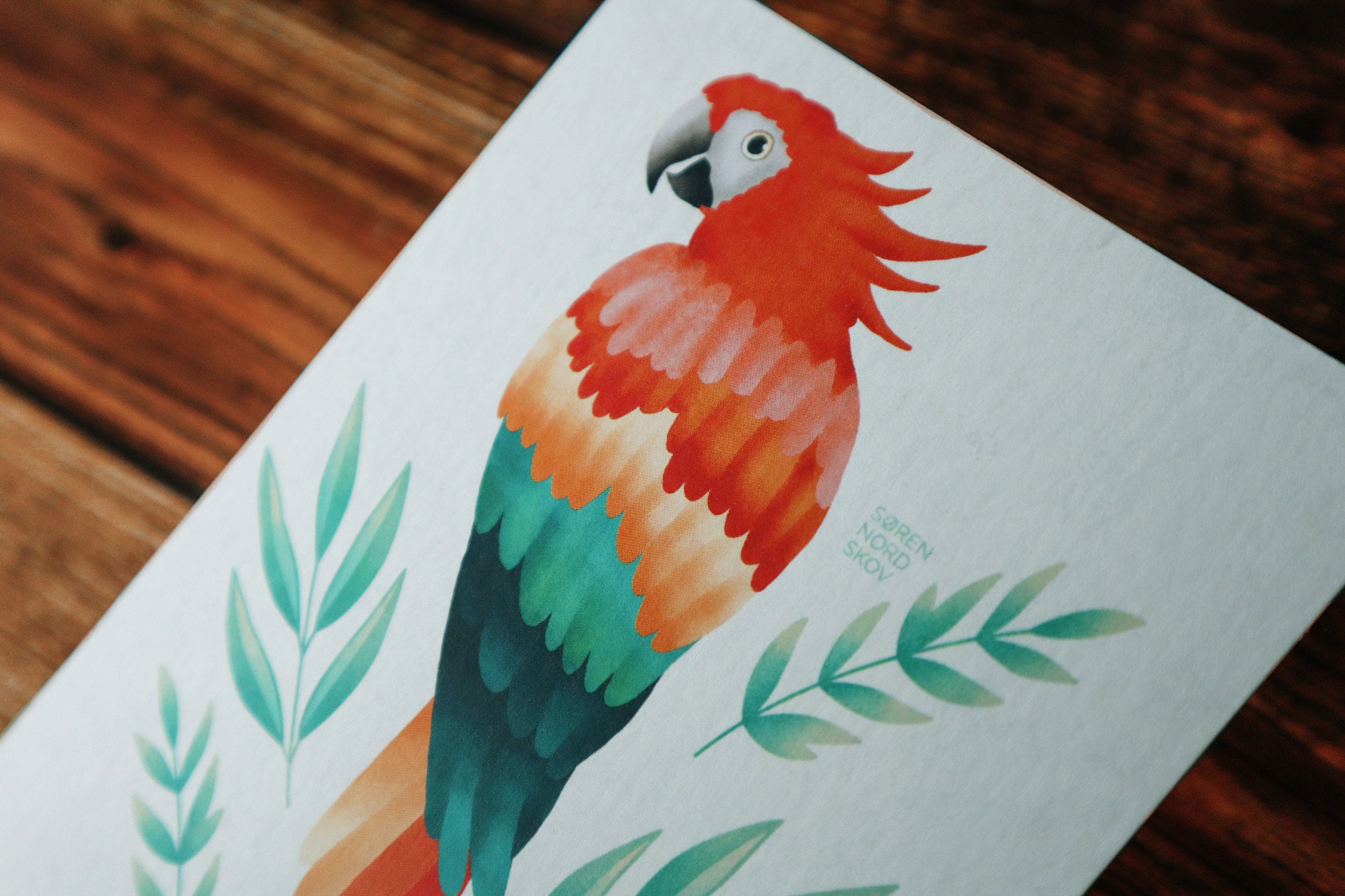 Scarlet Macaw Parrot Mini Art Postcard Print // Animal Wildlife ...