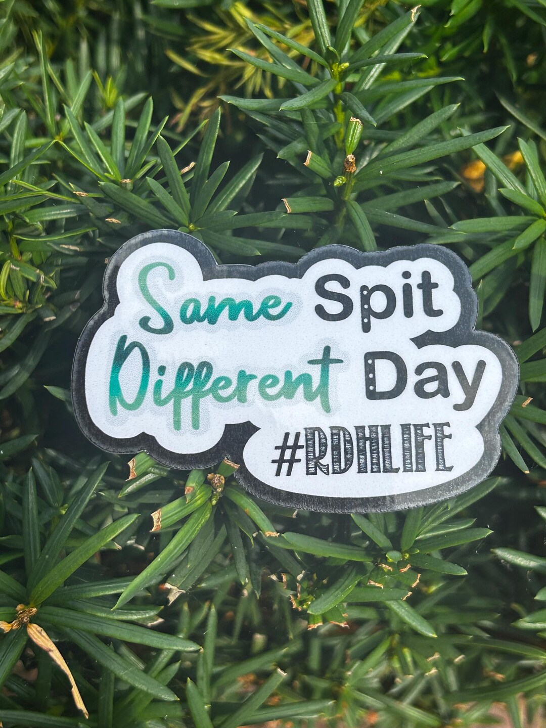 Same Spit Different Day Sticker| Water Bottles Stickers| Sticker Humor ...