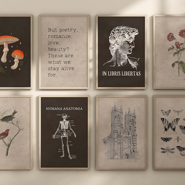 Dark Academia Decor - Etsy