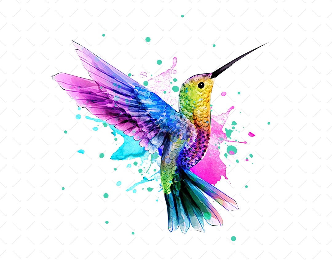 Watercolor Hummingbird Png, Hummingbird Png, Hummingbird Clipart ...