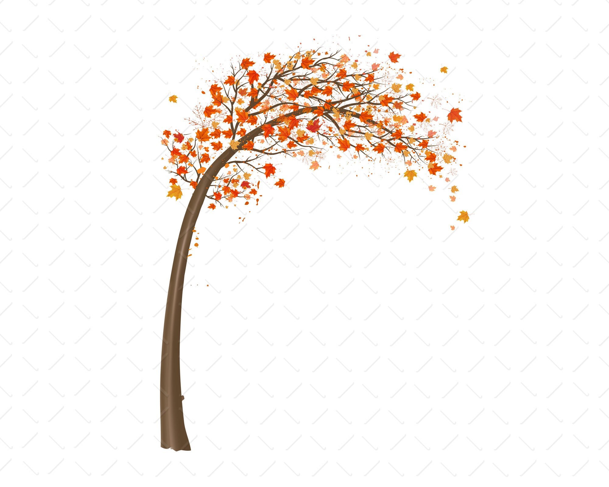 Maple Leaf Png Maple Tree Png Maple Tree Graphic Oak Trees - Etsy Ireland
