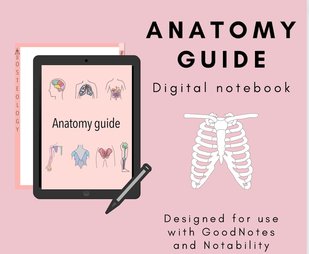 Anatomy Digital Notebook for Goodnotes/ Notability for Medical/ Nursing ...
