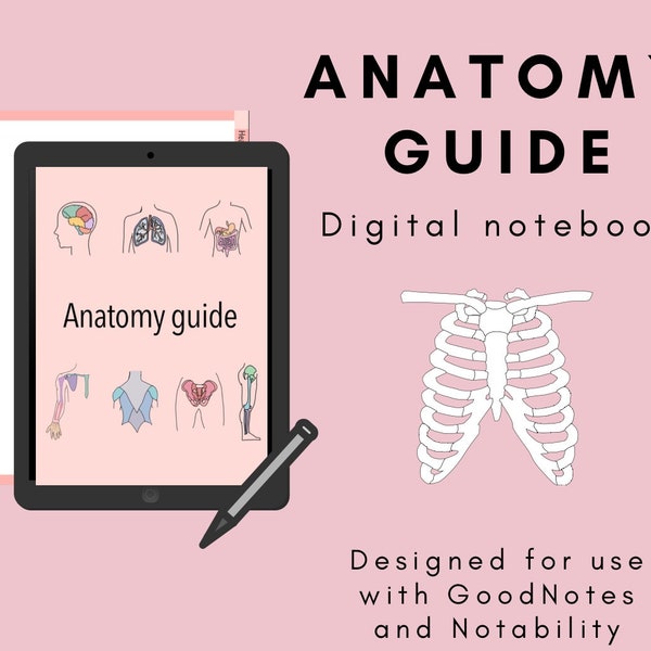 Anatomy of Medical Assistant - Etsy