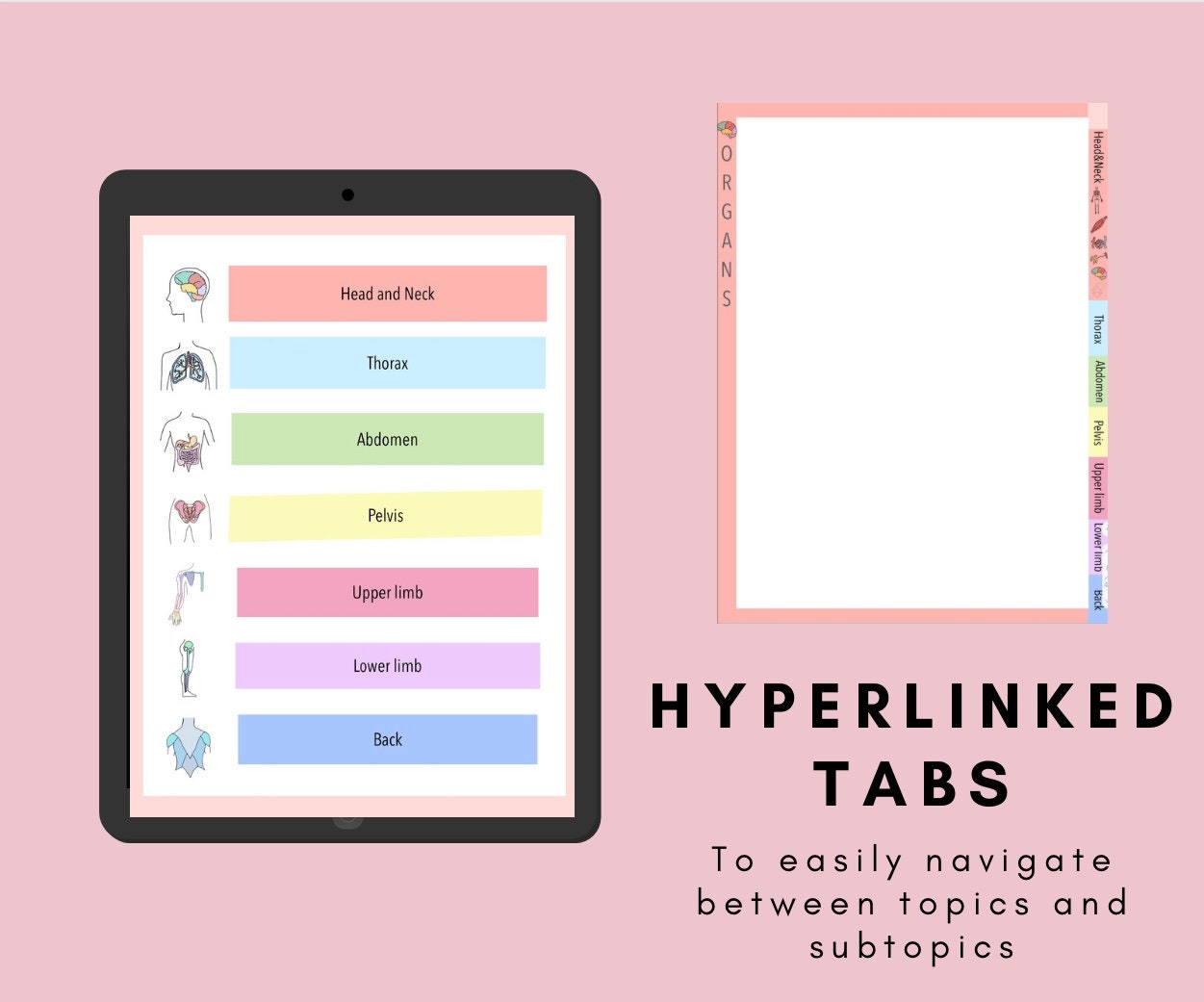 Anatomy Digital Notebook for Goodnotes/ Notability for Medical/ Nursing ...