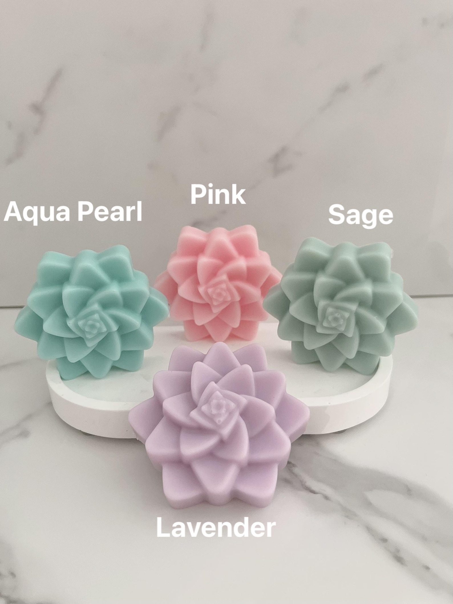 Succulent Soaps Wedding Favors Bridal Shower Handcrafted Soap Baby ...