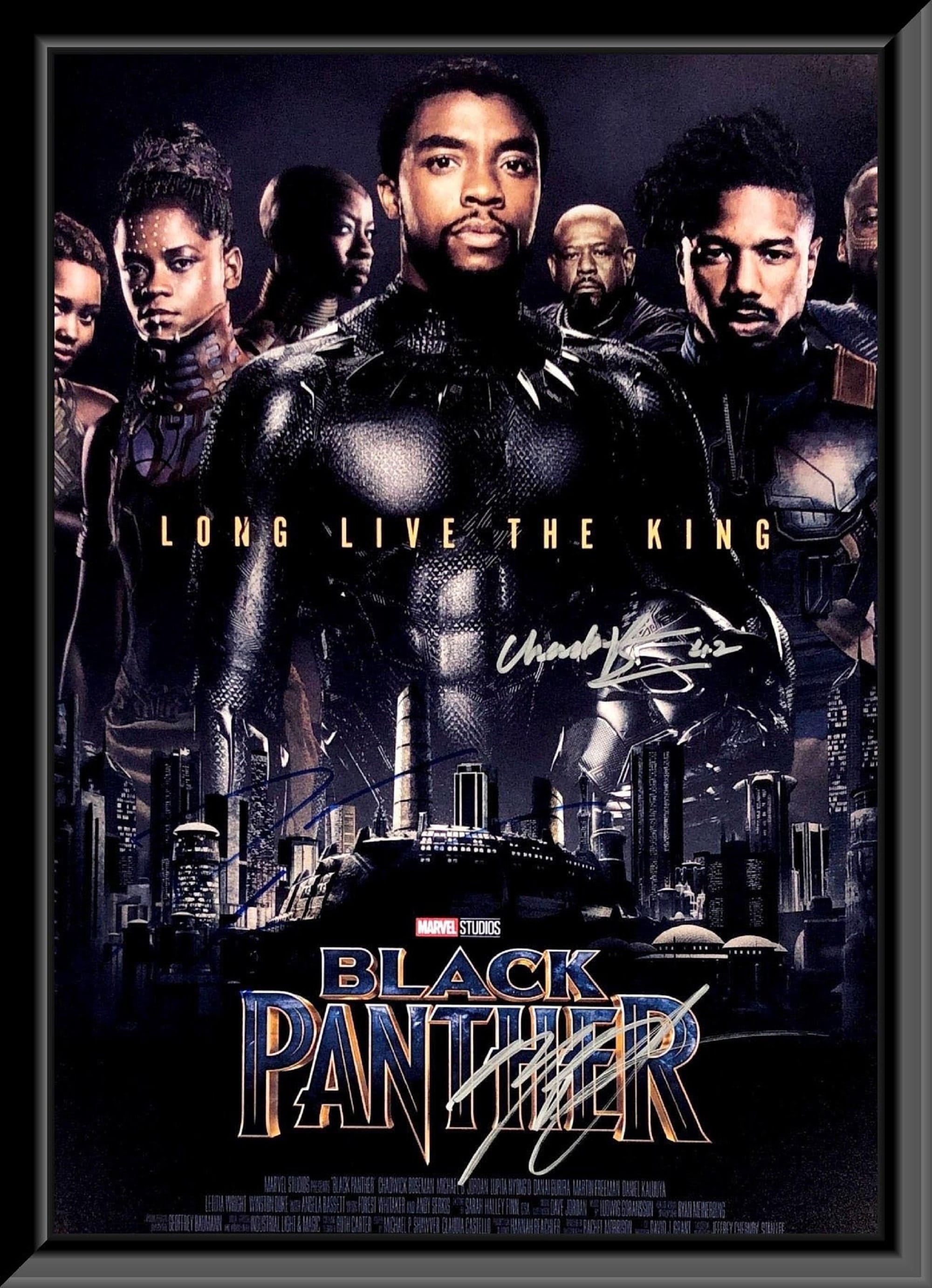 Black Panther Marvel Movie Cast