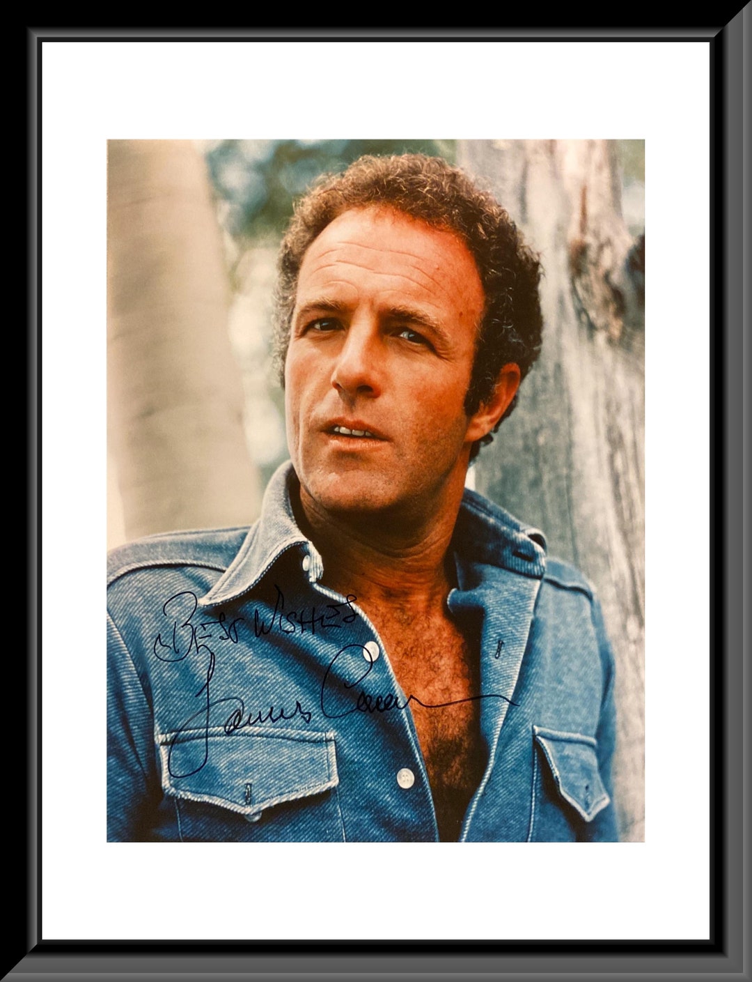 James Caan Signed Photo - Etsy