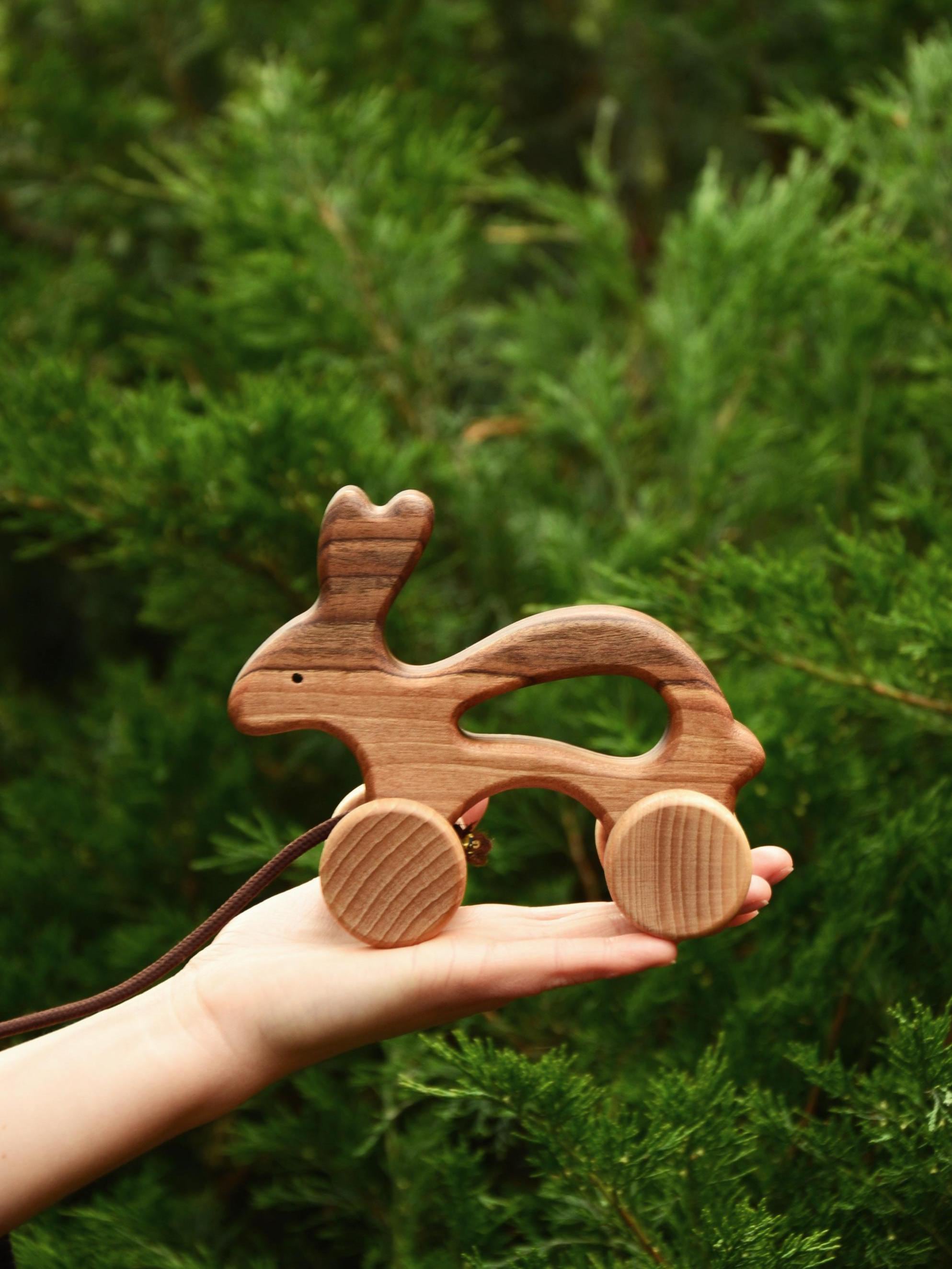 Handmade Wooden Baby Toys Animals on Wheels for Kids, Educational Pull ...