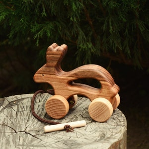 Wooden Bunny Pull & Push Toy: Educational Toddler Toy, Montessori ...
